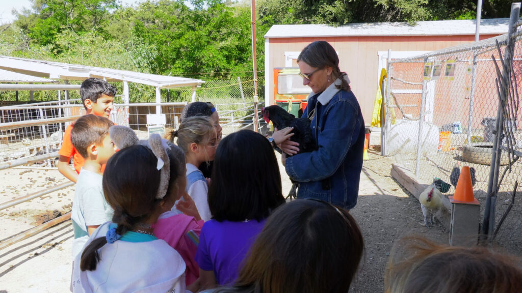 WATCH: Take a virtual field trip to the farm and gardens of Trabuco ...