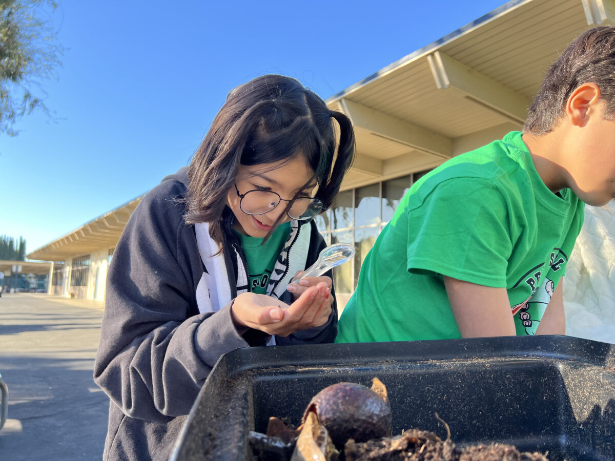 VIDEO: Price Elementary students celebrate America Recycles Day with ...